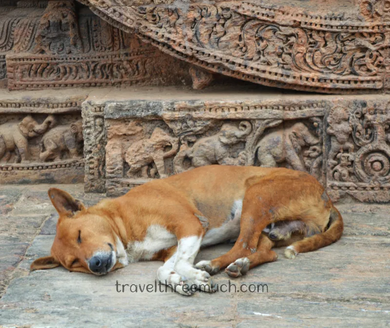 Bhubaneswar 4-Day Itinerary with Maps & Hidden Temples